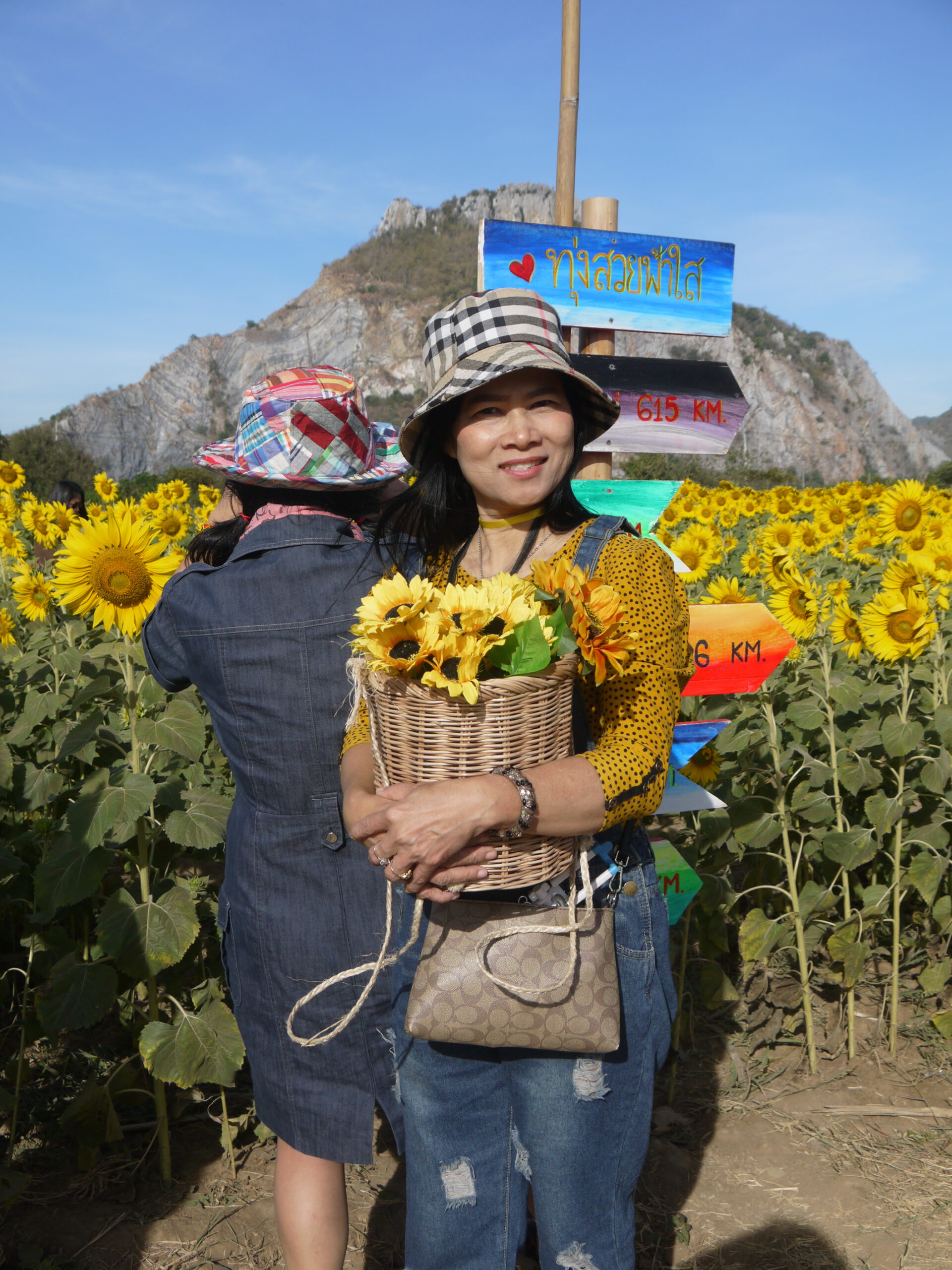 โปรท่องเที่ยวในประเทศ..เขาค้อ เพชรบูรณ์ – Rich Infinity 999